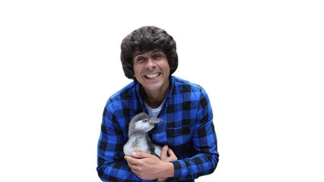 Andy's Baby Animals - CBeebies - BBC