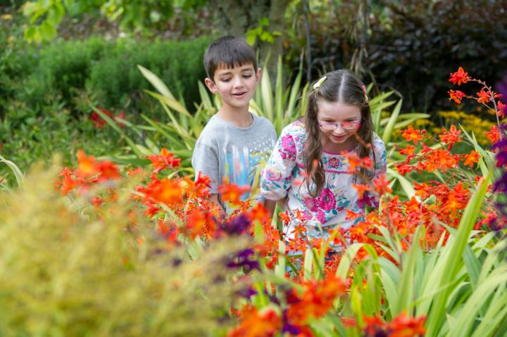 RHS Garden Rosemoor - CBBC - BBC