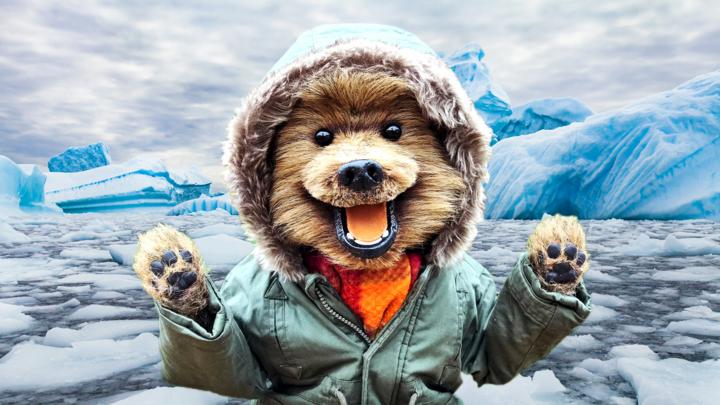 Snowy scenes - CBBC - BBC