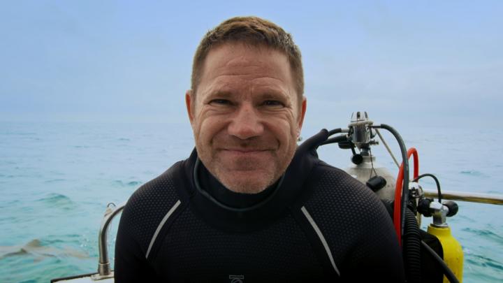 Ask Steve your shark questions - CBBC - BBC