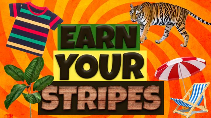 Earn You Stripes! - CBBC - BBC