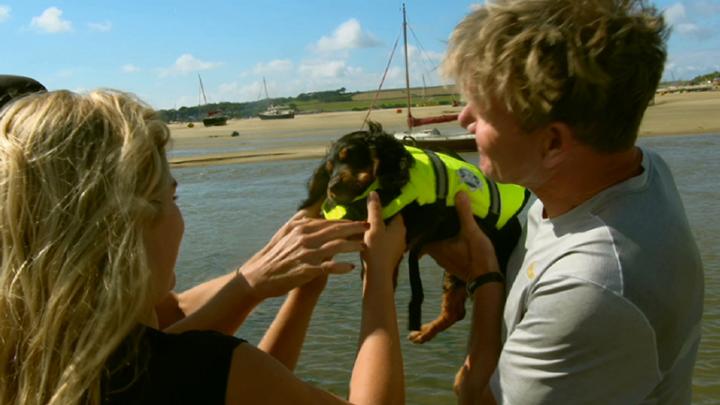 Ramsay puppy goes swimming! - CBBC - BBC