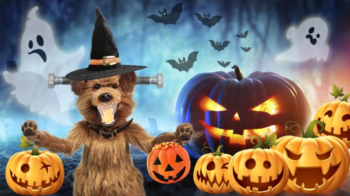 Pumpkin Pics - CBBC - BBC