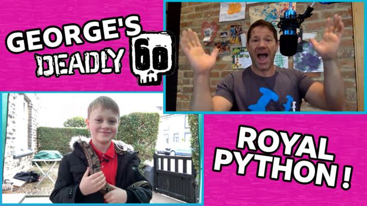 Deadly 60's Steve Backshall makes fan dream come true - CBBC - BBC