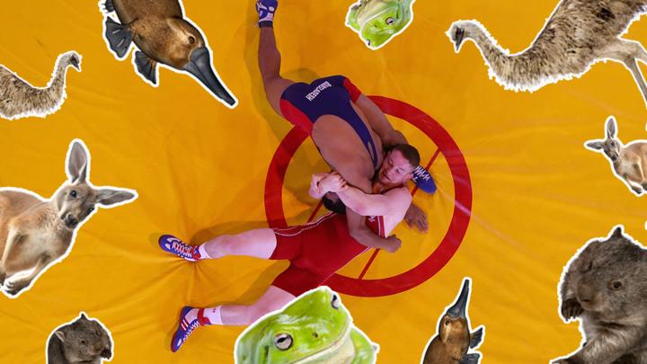 Aussie Animal Sport Takeover! - CBBC - BBC