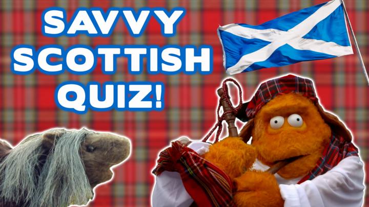 CBBC quiz trivia savvy Scottish Scotland knowledge questions Saturday ...
