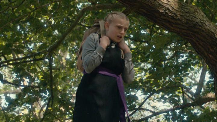 Why is Sybil up in a tree? - CBBC - BBC