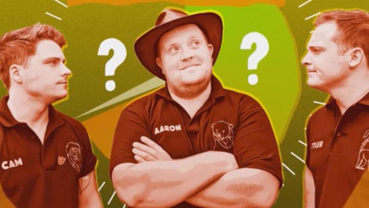 One Zoo Three 60 second animal quiz! - CBBC - BBC