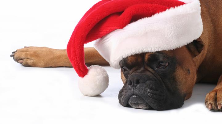 How to survive Crimbo Limbo - CBBC - BBC