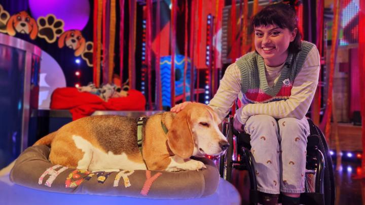 How to make an upcycled and cosy pet bed - CBBC - BBC