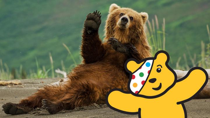 Pudsey's Big Bear Quiz - CBBC - BBC