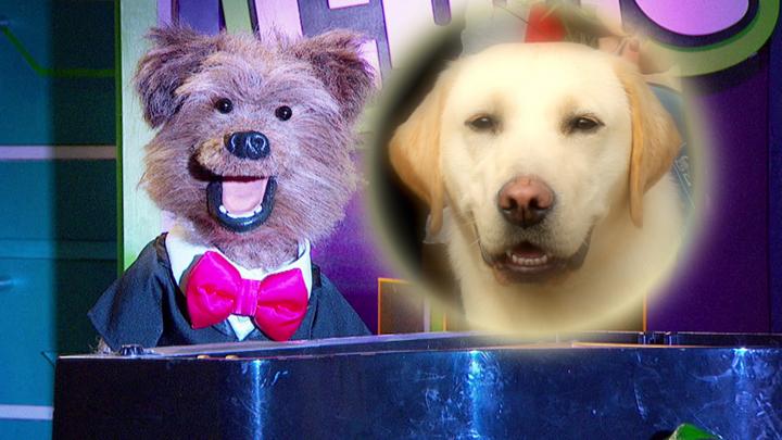 Hacker sings to Iggy and it's super cute - CBBC - BBC