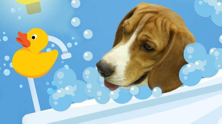 BP Henry bathtime - CBBC - BBC