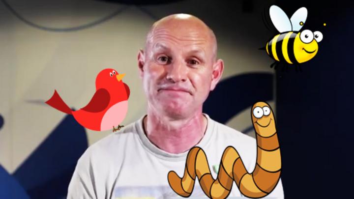 5 tips for welcoming wildlife - CBBC - BBC