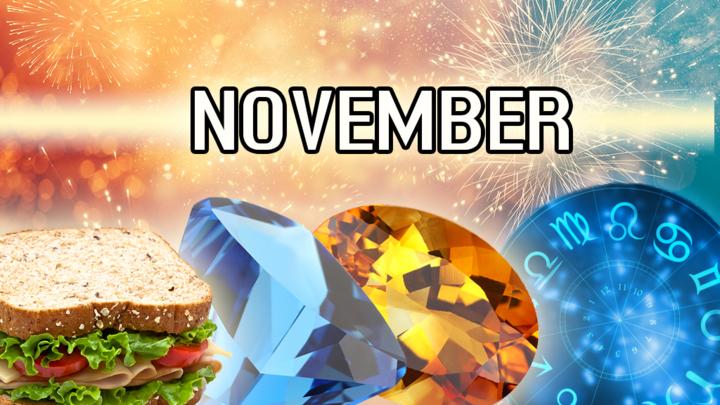 Quiz: Do you know November? - CBBC - BBC