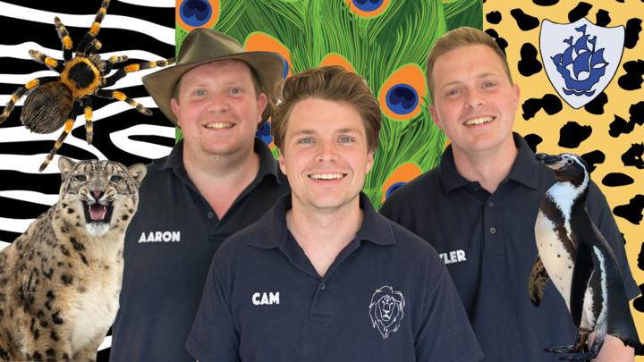 One Zoo Three on Blue Peter | Animal facts | Zoo questions | Blue Peter ...