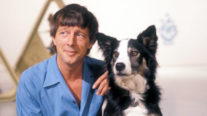 Quiz: Which Blue Peter dog are you? - CBBC - BBC