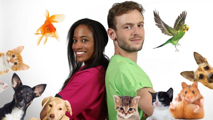 Ask The Pets Factor vets a question - CBBC - BBC