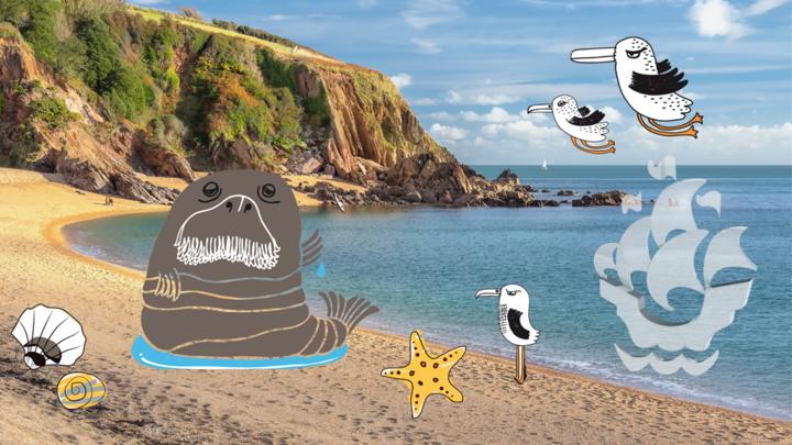 Quiz: Do you know your seaside critters? - CBBC - BBC