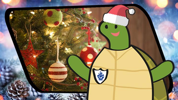 Shelley's Shenanigans: Christmas Special! - CBBC - BBC