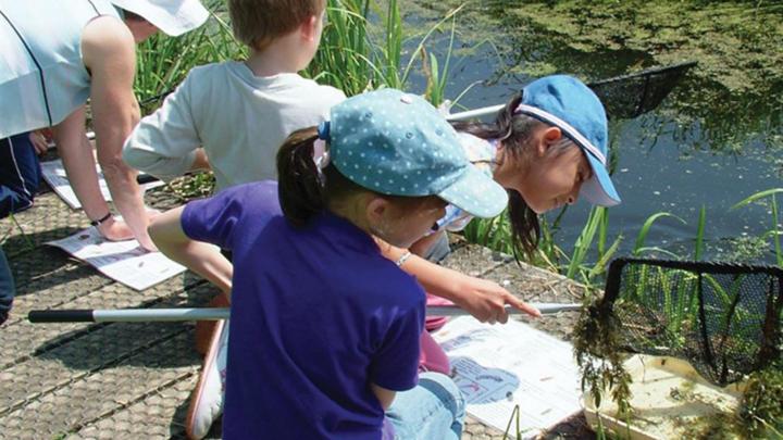 WWT Welney Wetland Centre - CBBC - BBC