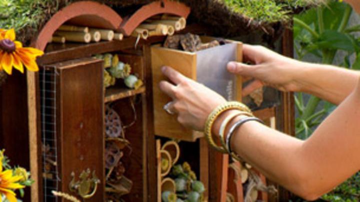 How to make a bug mansion - CBBC - BBC