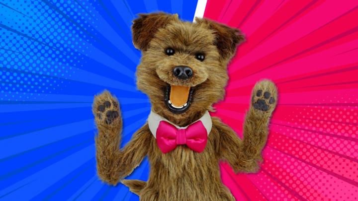 Ask Hacker Anything! - CBBC - BBC