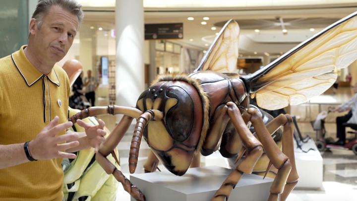 Chris Packham's big bug guide - CBBC - BBC