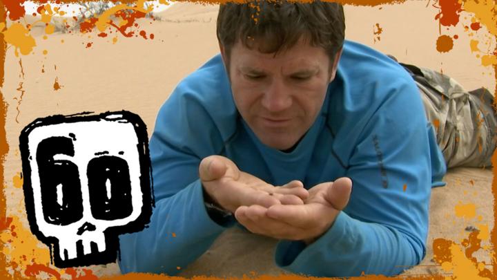 Spider sand traps - CBBC - BBC