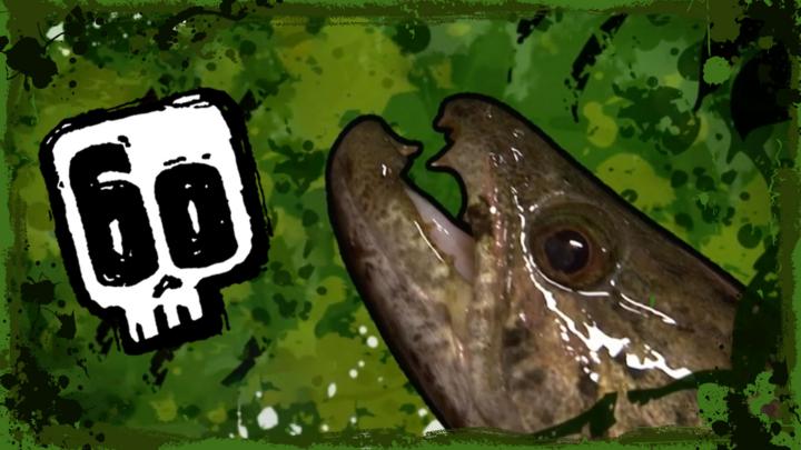 Close-up with an Amazonian monster - CBBC - BBC