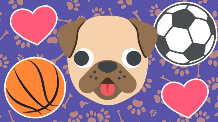 PAW-some sporty pooches! - CBBC - BBC