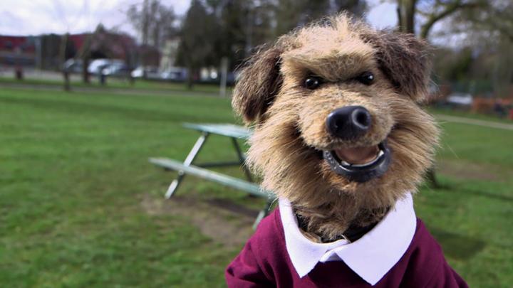 There's a new teacher's pet - CBBC - BBC