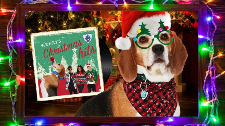 Blue Peter dog | Free Christmas games for kids | Henry the Blue Peter ...