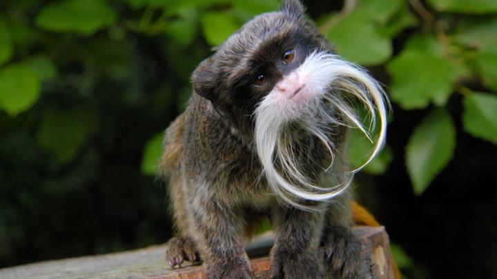 It's that time again... - CBBC - BBC