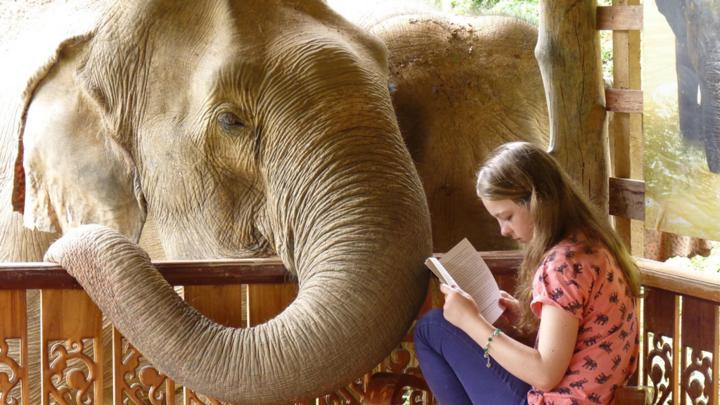 Have you ever helped an animal? - CBBC - BBC