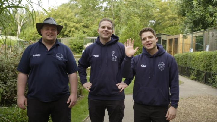 One Zoo Three: Send your jokes - CBBC - BBC