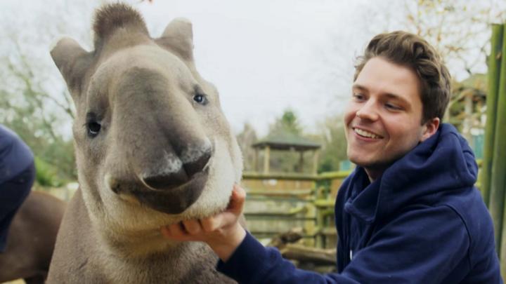 Christmas Animal Fun: A Sprout Challenge at the zoo! - CBBC - BBC