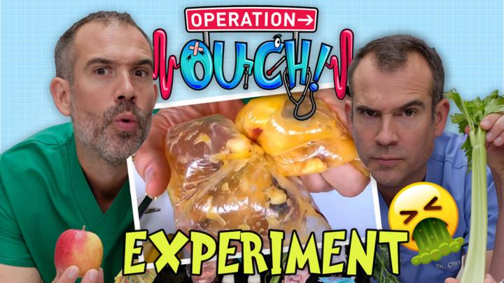 Operation Ouch! Make your own stomach! Experiment making a digestive ...