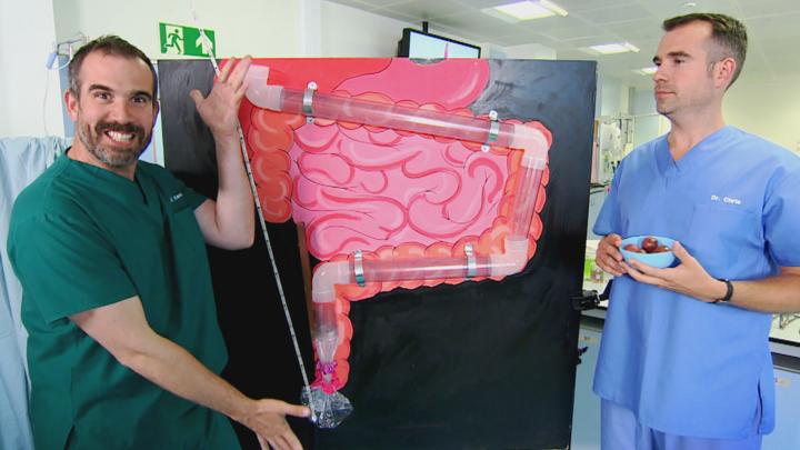 How do we poo? - CBBC - BBC