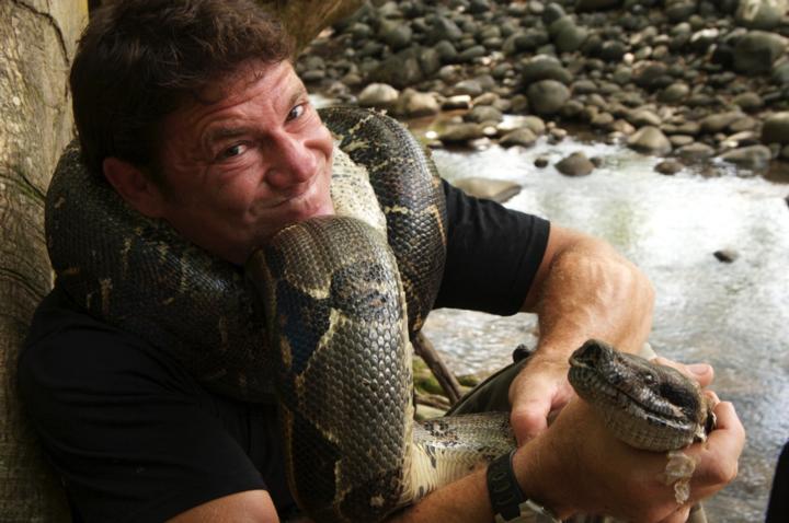 Tiny but deadly - CBBC - BBC