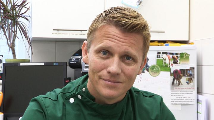 How to understand your puppy's behaviour - CBBC - BBC