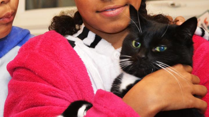 Poppy the Cat has something in her eye - CBBC - BBC