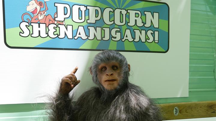 Monkey business - CBBC - BBC