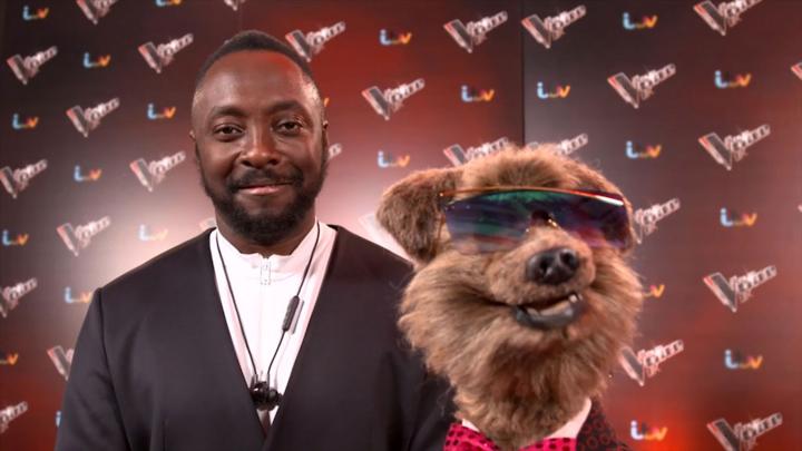 Hacker meets Will.i.am - CBBC - BBC