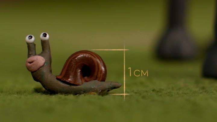 Spot Shelly (the snail) - CBBC - BBC