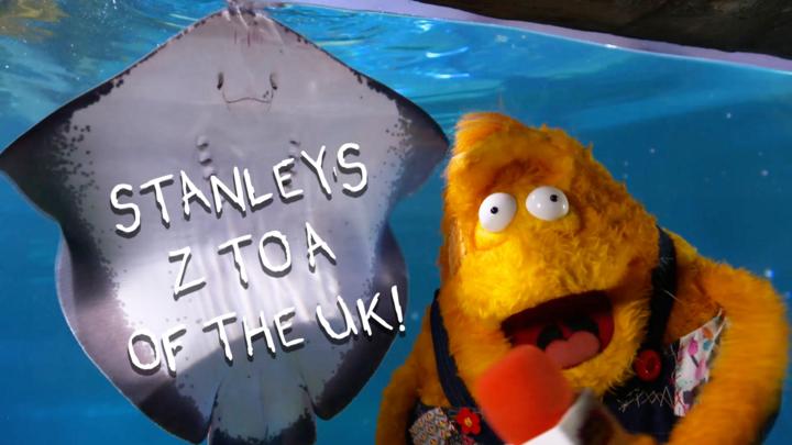 Stanley Sunday with CBBC Saturday Mash-Up! Stanley Z to A of the UK ...