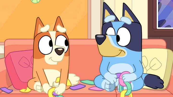 Bluey and Bingo Siblings Day quiz - CBeebies - BBC