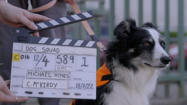 Dog Squad: Outtakes - CBeebies - BBC