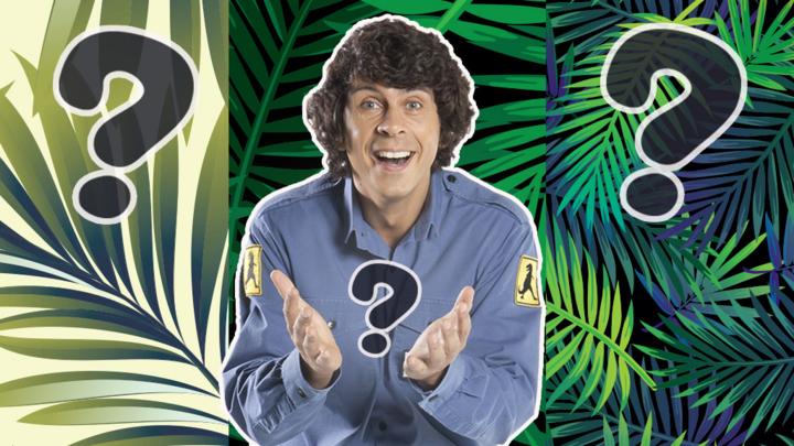 Are you an animal expert? - CBeebies - BBC