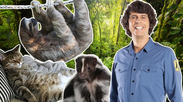 Andy's Animal Quiz 5 - CBeebies - BBC